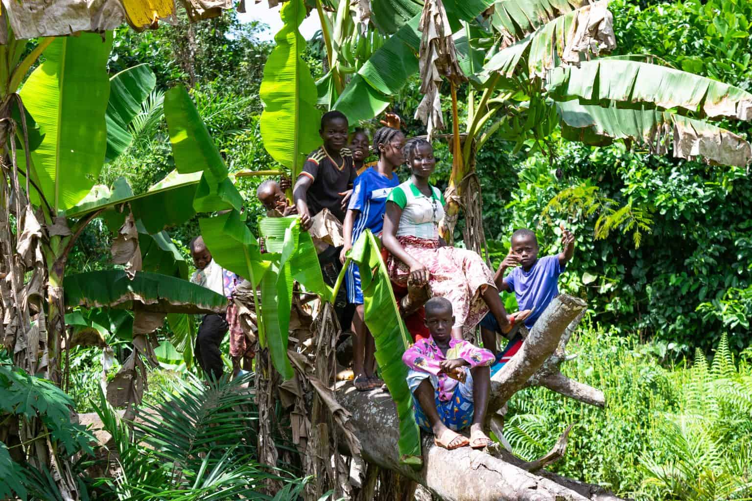 Falcon Energy Materials – La Mancha Resource Capital LLP